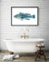 Vintage sea bass fish print – creative monsoon