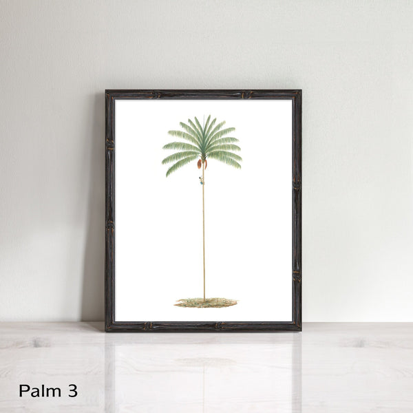 Vintage palm tree prints – creative monsoon